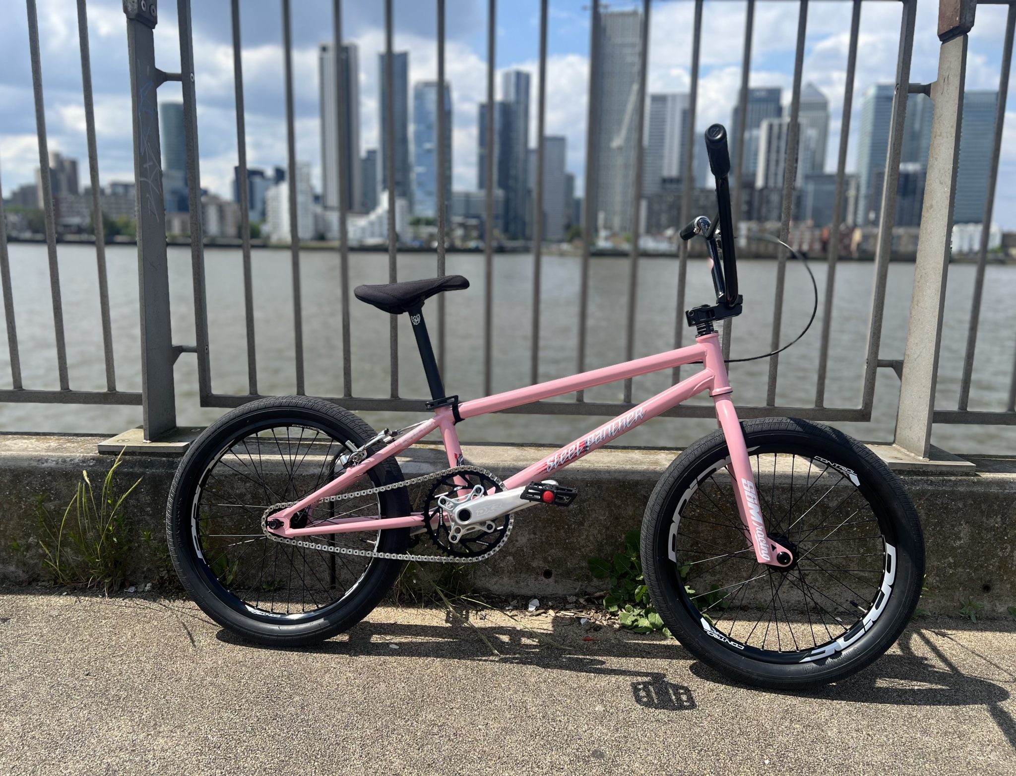 Peter’s STeel Panther – S&M Bikes